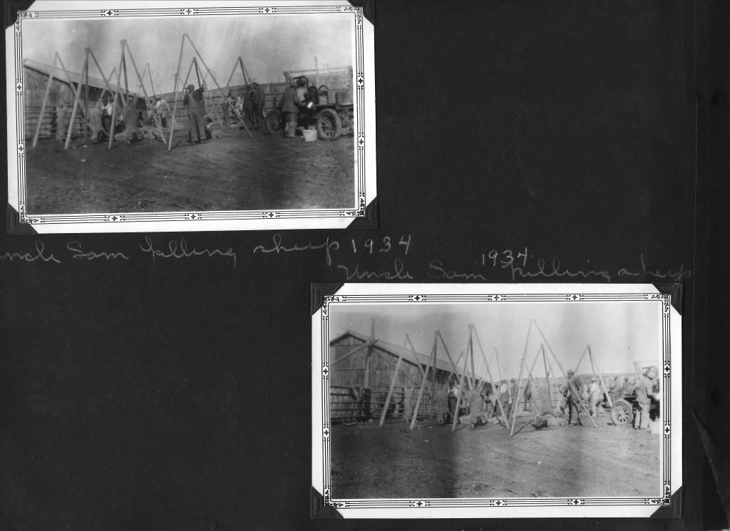 Uncle Sam Killing Sheep | American Heritage Center (AHC) #AlwaysArchiving