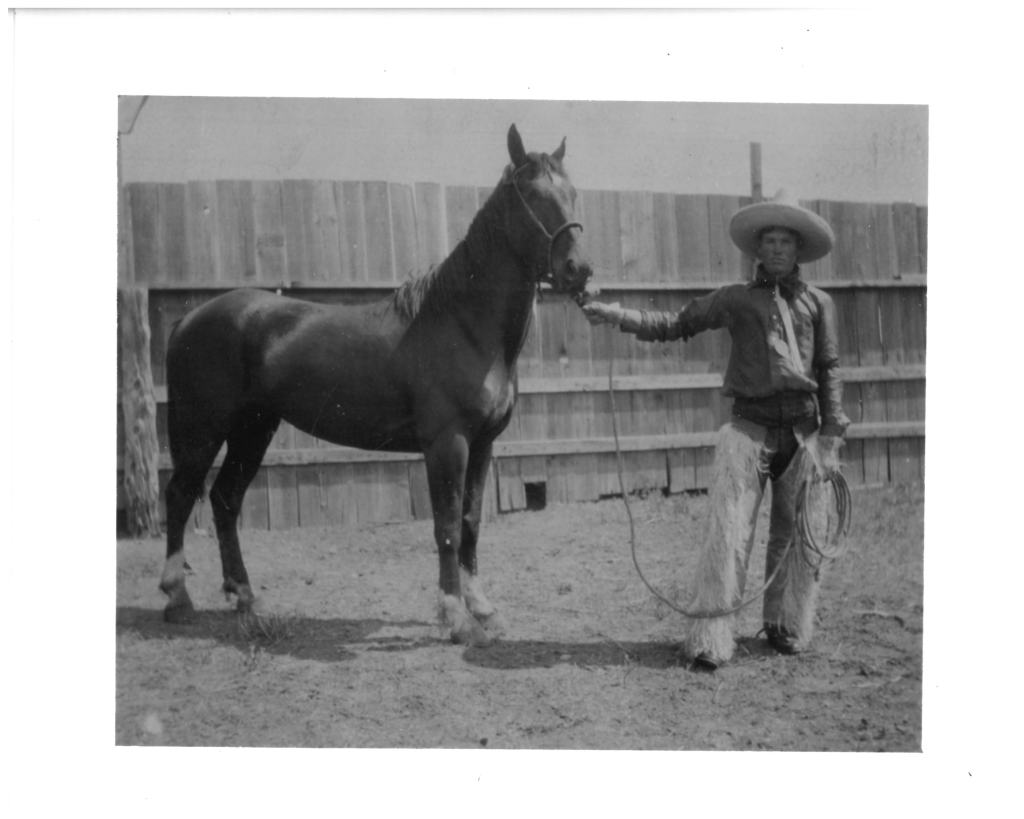 Steamboat: Wyoming’s Wildest Resident | American Heritage Center (AHC ...