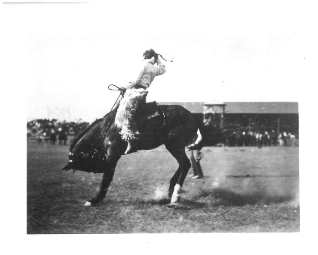 Steamboat: Wyoming’s Wildest Resident | American Heritage Center (AHC ...