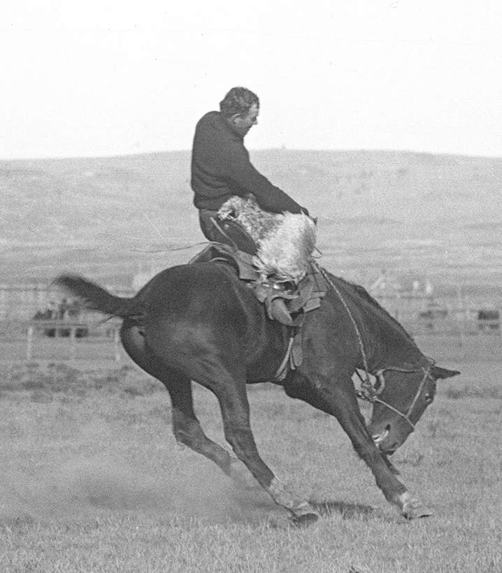 Steamboat: Wyoming’s Wildest Resident | American Heritage Center (AHC ...